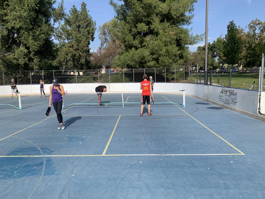 Third Shot Drop Pro Paddles