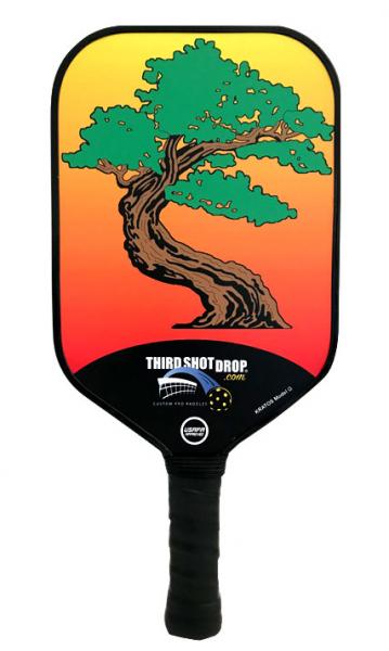 Build your custom paddle paddle